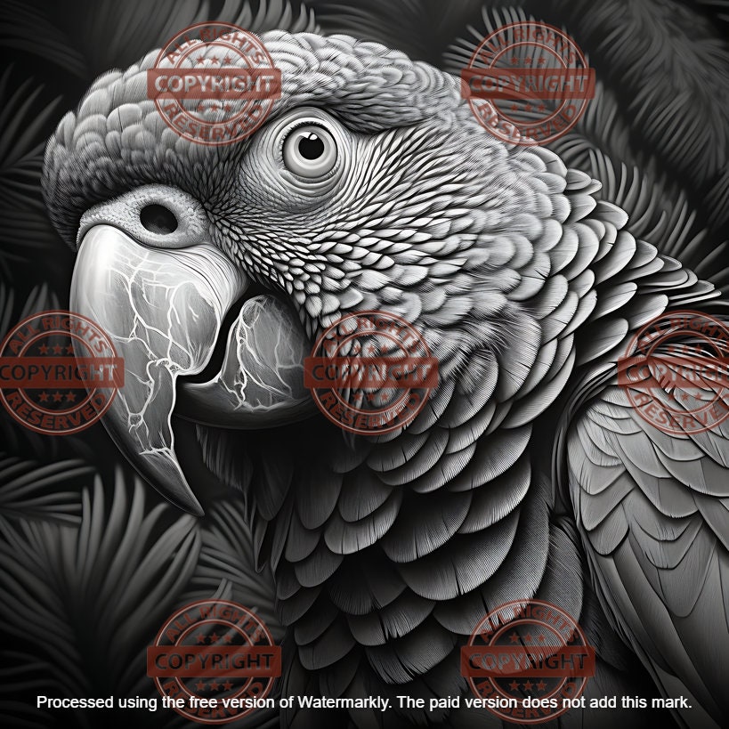 3D Laser Engraving Images High-quality Digital Images for Laser ...