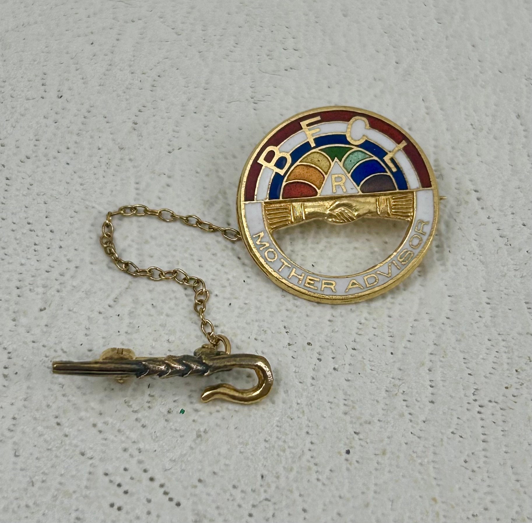 Vintage 10K Gold BFCL International Order of Rainbow Girls Two Part ...