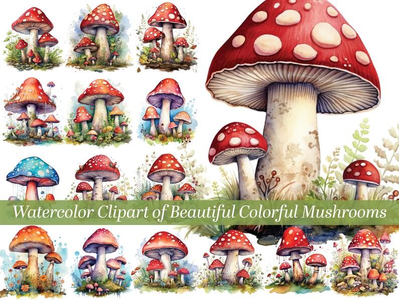 Watercolor Mushroom Clipart Colorful Mushroom Clipart Commercial Use ...