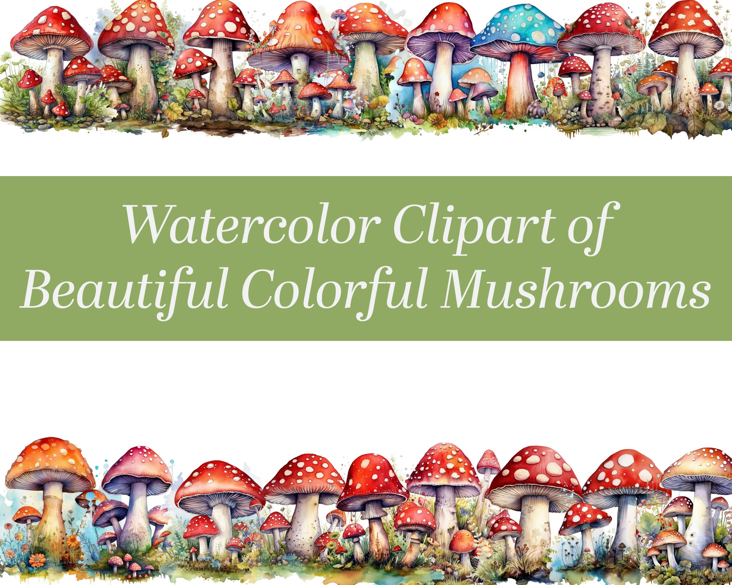 Watercolor Mushroom Clipart Colorful Mushroom Clipart Commercial Use ...