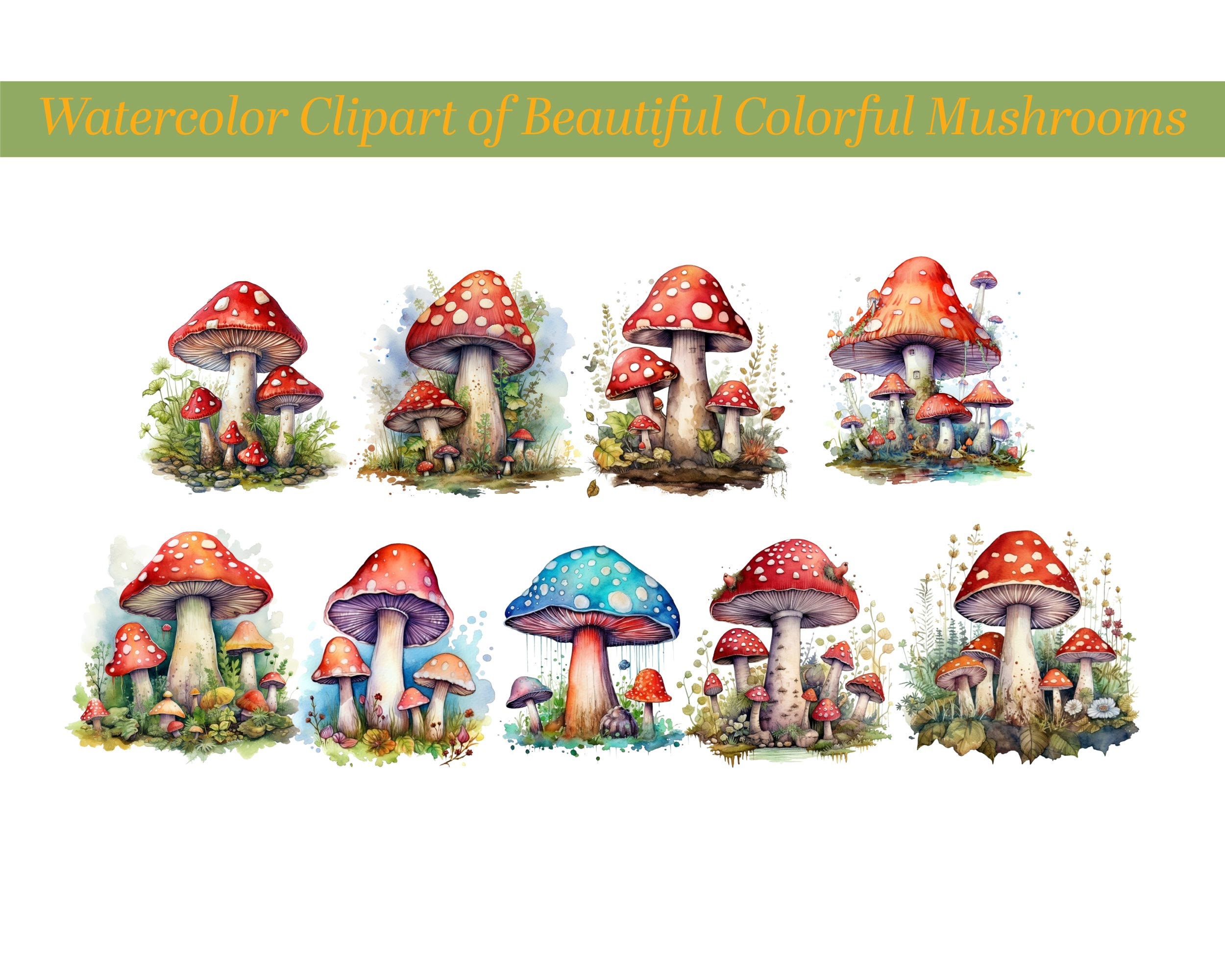 Watercolor Mushroom Clipart Colorful Mushroom Clipart Commercial Use ...