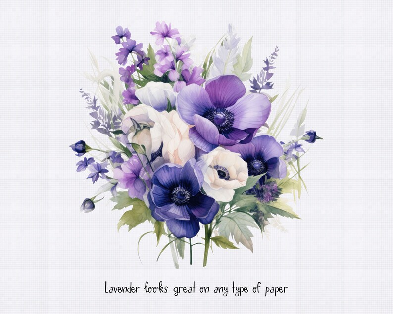 Watercolor Clipart of Beautiful Lavender and Lavender Flowers. Flower ...