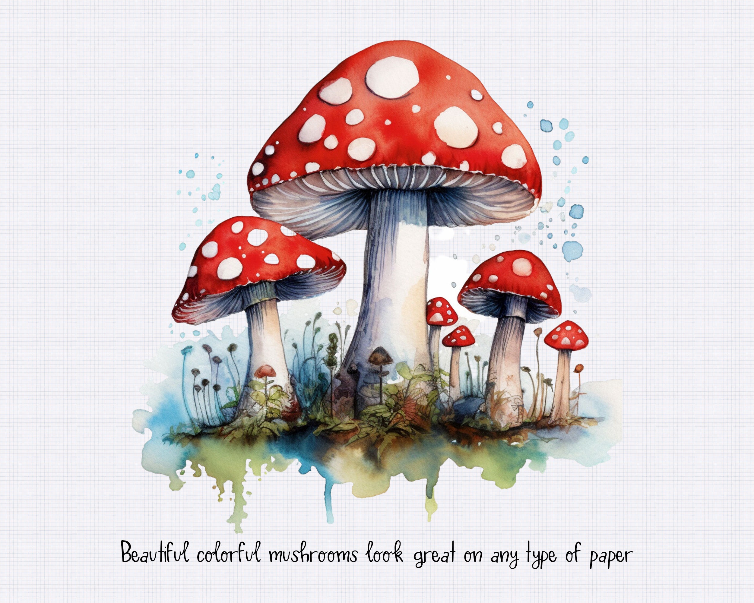 Watercolor Mushroom Clipart Colorful Mushroom Clipart Commercial Use ...