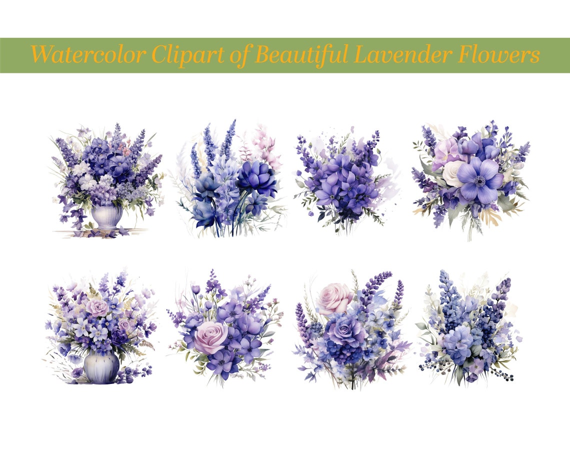 Watercolor Clipart of Beautiful Lavender and Lavender Flowers. - Etsy