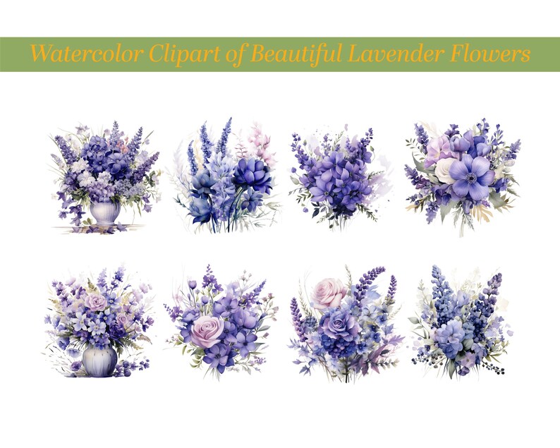 Watercolor Clipart of Beautiful Lavender and Lavender Flowers. Flower ...