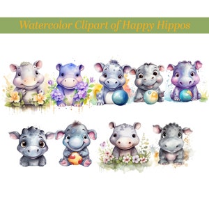 Watercolor Clipart of Beautiful Baby Hippos. Animal Clipart. Commercial ...