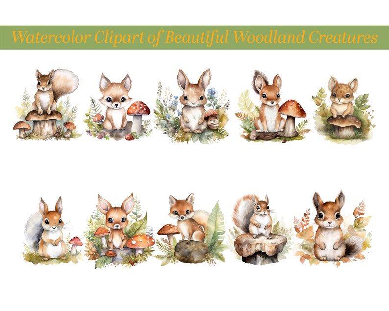 Woodland Creatures is Beautiful Watercolor Clip Art. Gorgeous - Etsy