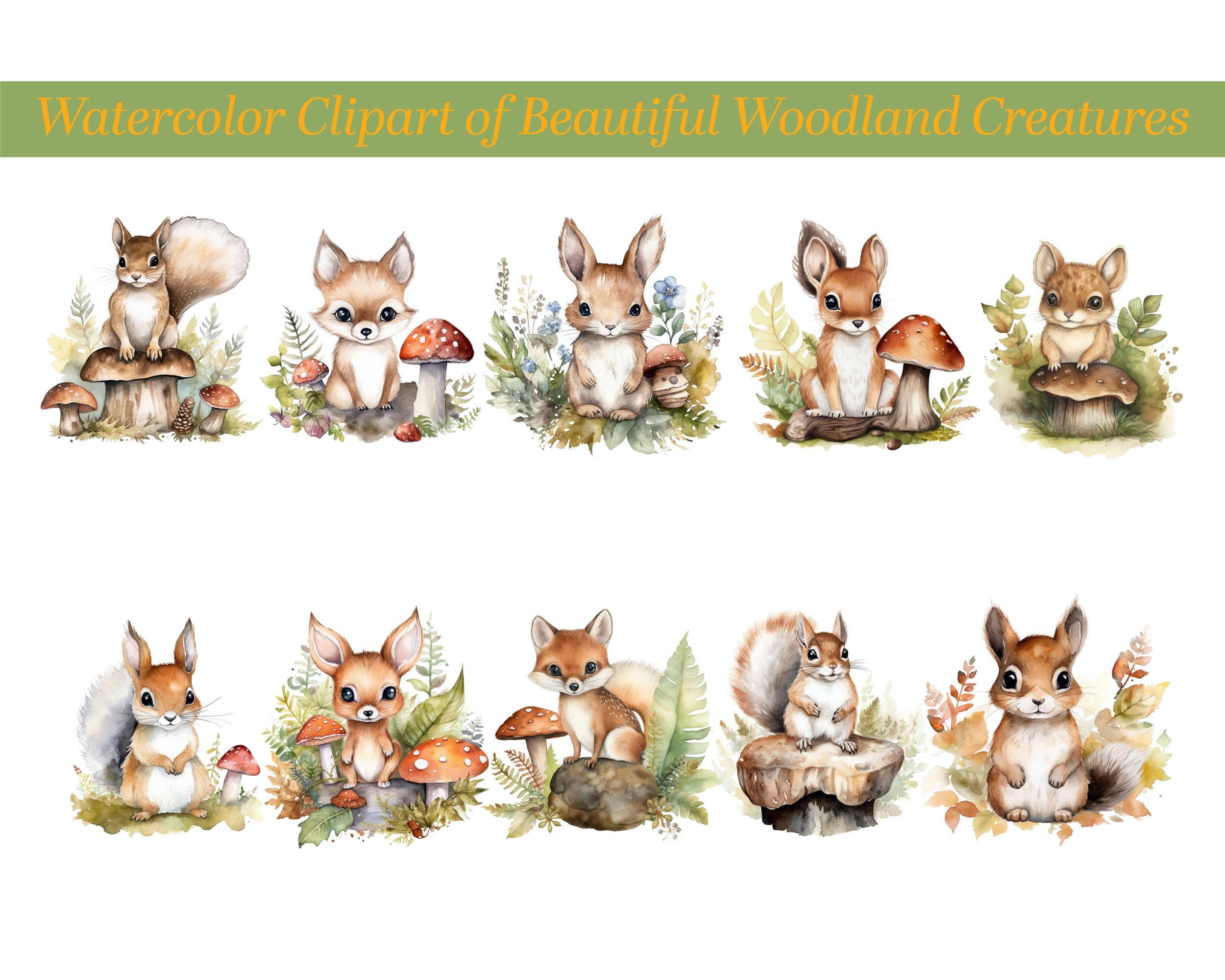 Woodland Creatures is Beautiful Watercolor Clip Art. Gorgeous Baby ...