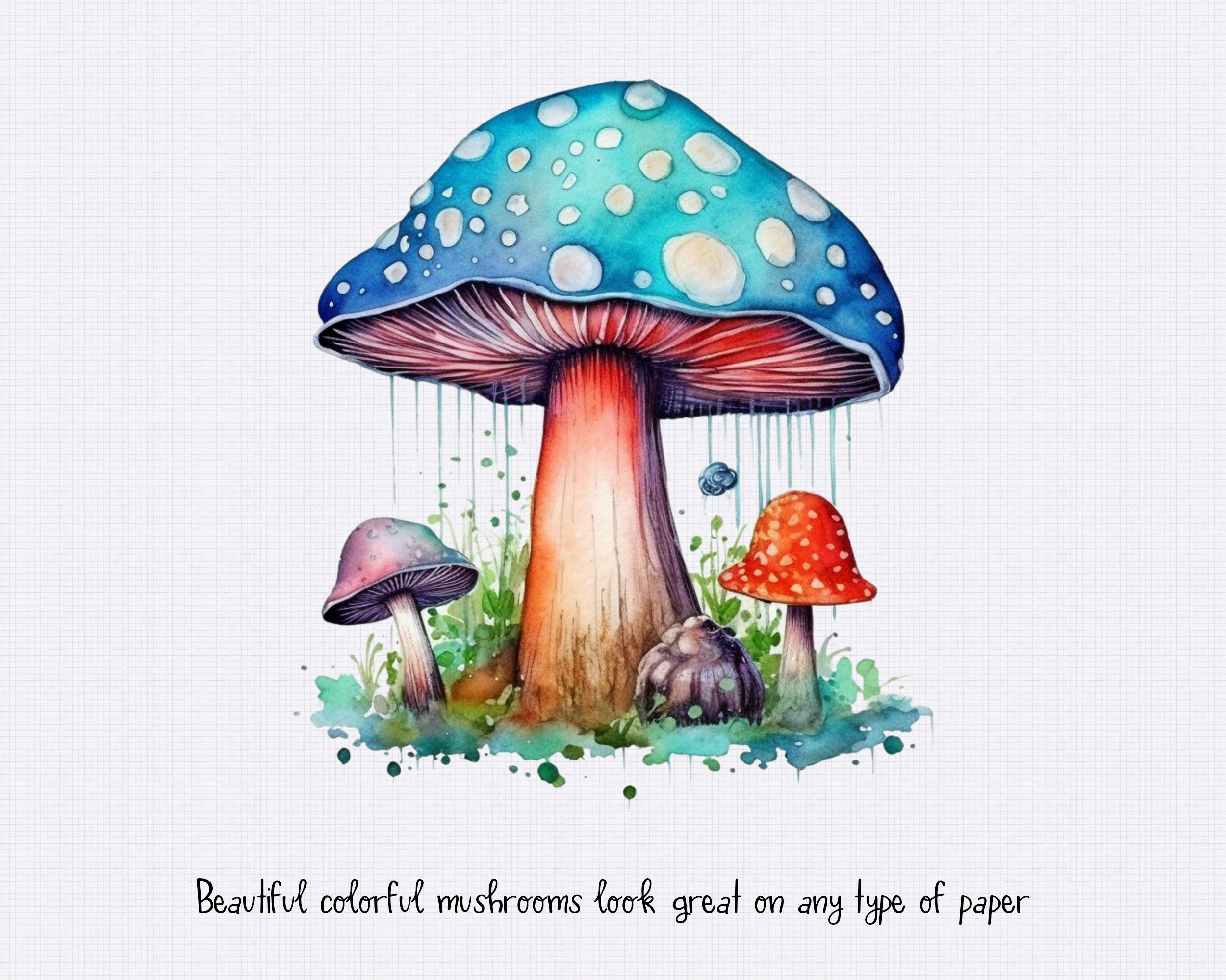 Watercolor Mushroom Clipart Colorful Mushroom Clipart Commercial Use ...