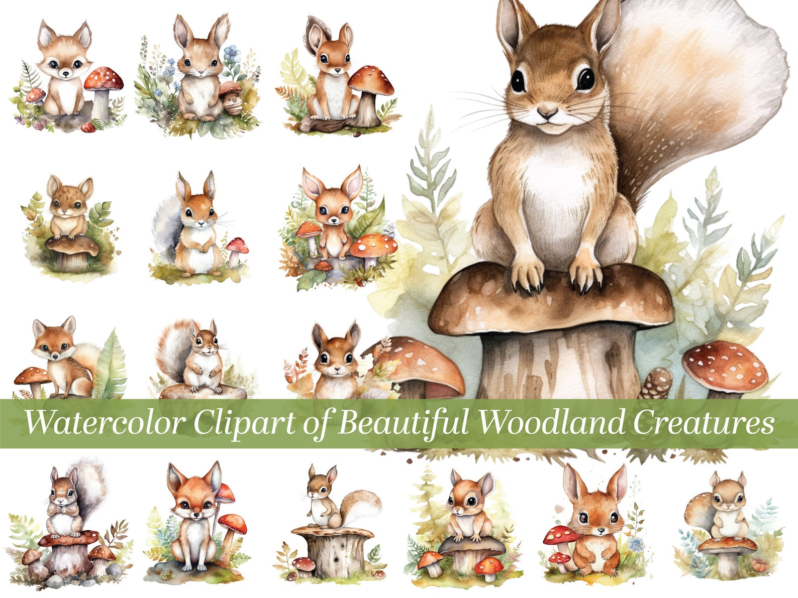 Woodland Creatures is Beautiful Watercolor Clip Art. Gorgeous Baby ...