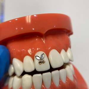 Butterfly Tooth Gem Crystal Design, Tooth Gem Kits, Tooth Jewelry - Etsy