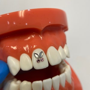 Butterfly Tooth Gem Crystal Design, Tooth Gem Kits, Tooth Jewelry - Etsy