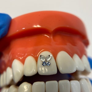 Butterfly Tooth Gem Crystal Design, Tooth Gem Kits, Tooth Jewelry - Etsy