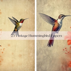 Vintage Hummingbird Junk Journal Pages: Old Paper Textures | Printable ...