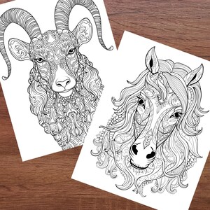 Farm Animal Mandala Coloring Book - 35 Grayscale Printable Adult ...