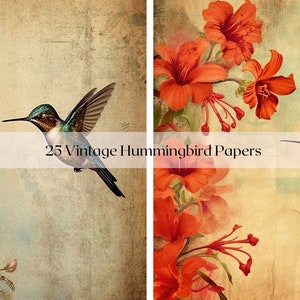 Vintage Hummingbird Junk Journal Pages: Old Paper Textures | Printable ...