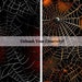 Spider Web Digital Paper Seamless Spider Web Pattern - Etsy