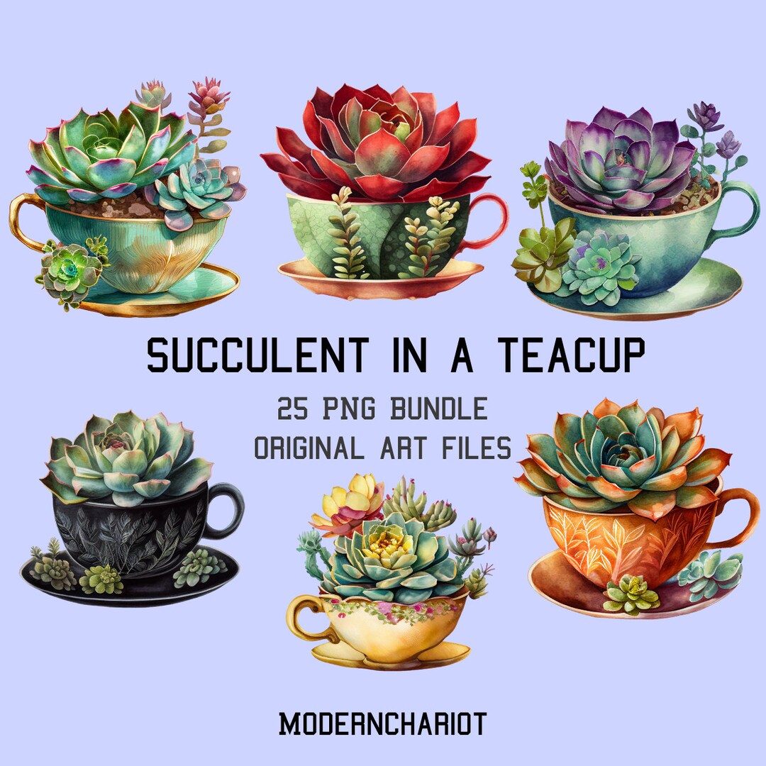 Succulent in A Teacup Clip Art, 25 High Quality Pngs, Transparent ...