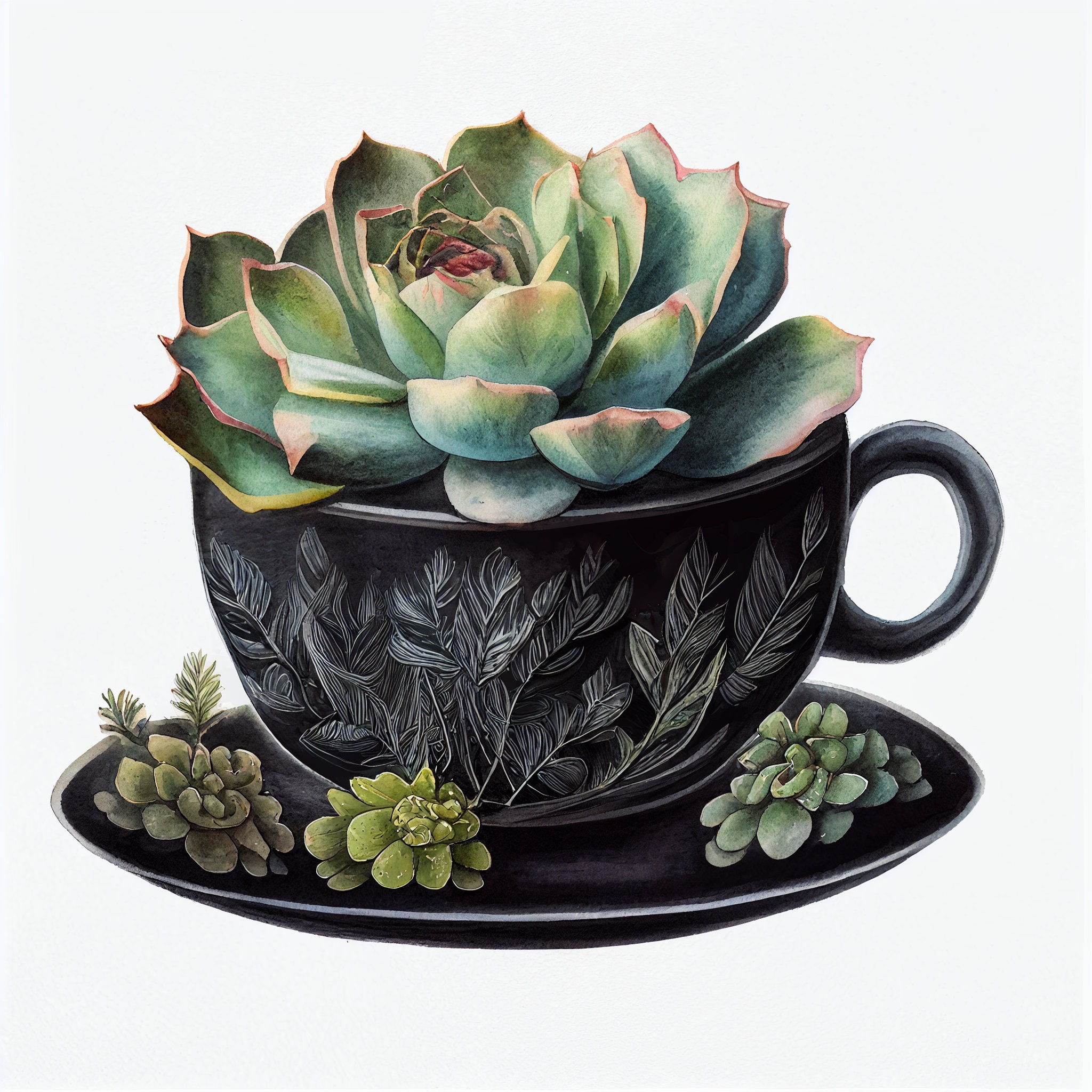 Succulent in A Teacup Clip Art, 25 High Quality Pngs, Transparent ...
