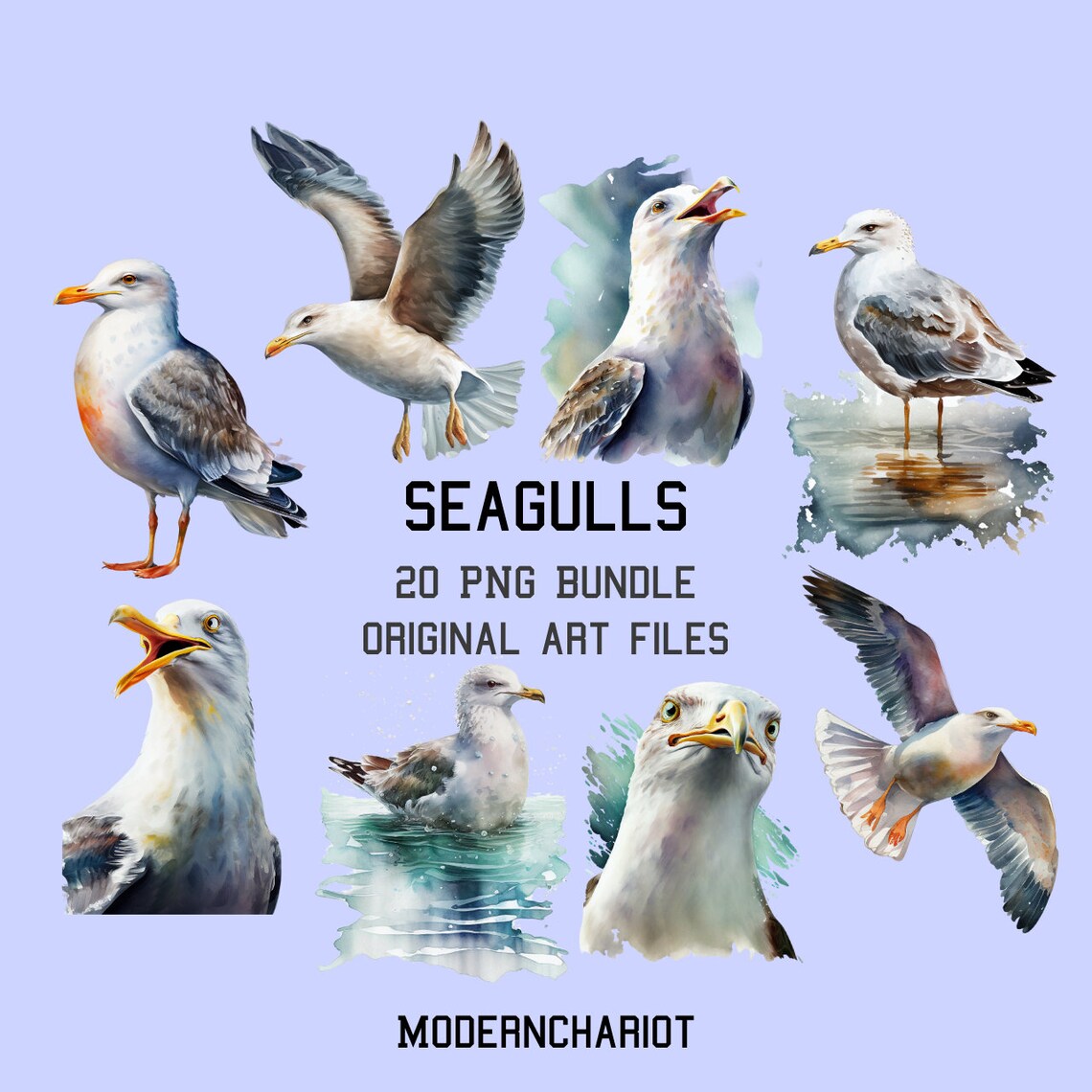 Seagulls Clip Art, 20 High Quality Pngs, Transparent Background ...