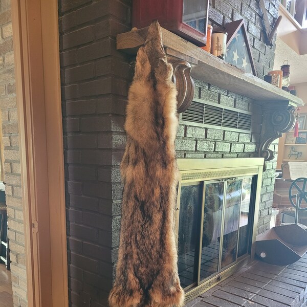 Coyote Pelt - Etsy