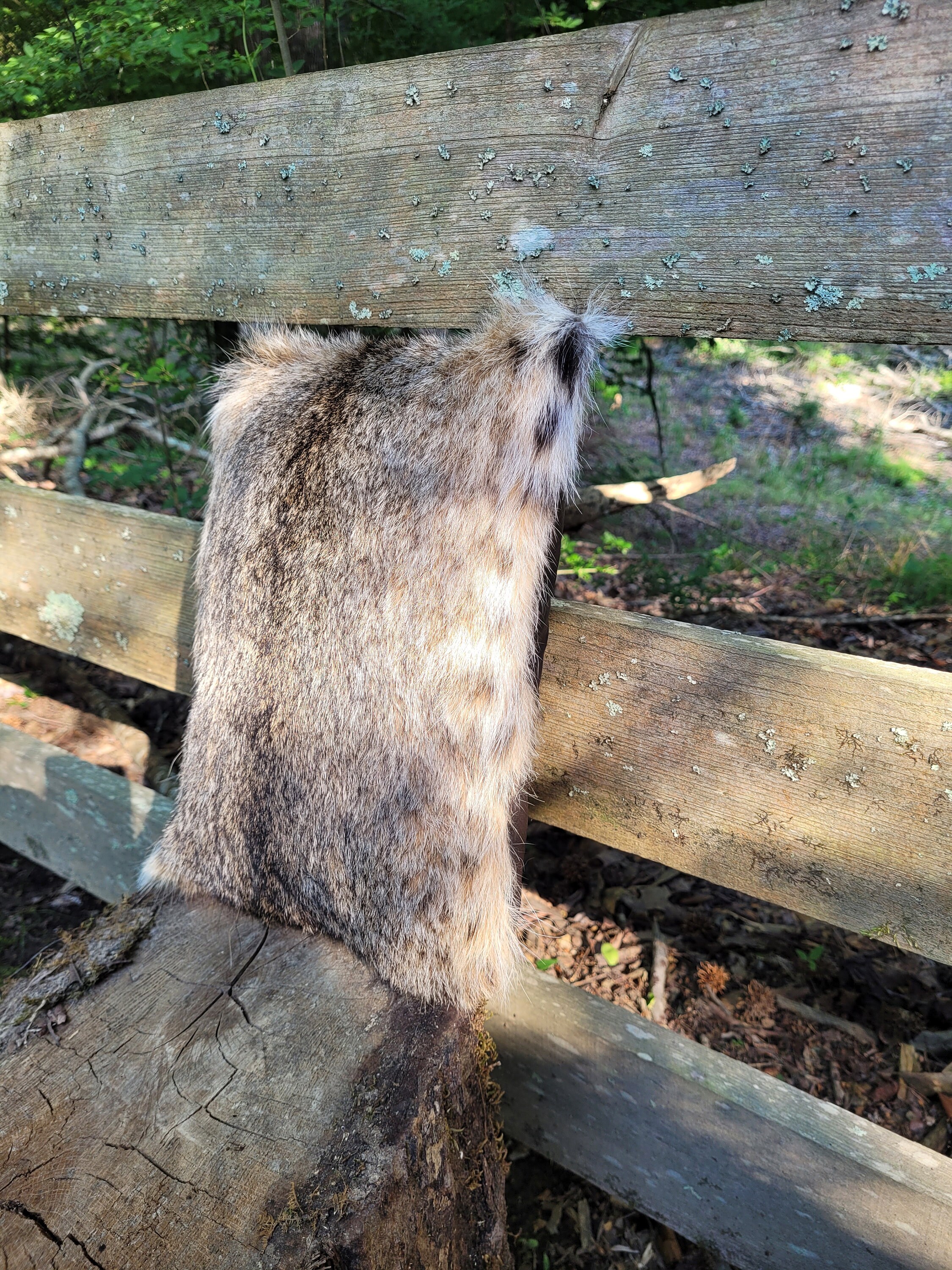 Bobcat Full Pelt Genuine Fur Pillow – Handmade #5 - Etsy