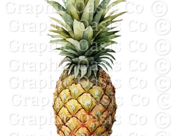 PINEAPPLE Watercolor Clipart Tropical Fruits Summer Hand - Etsy