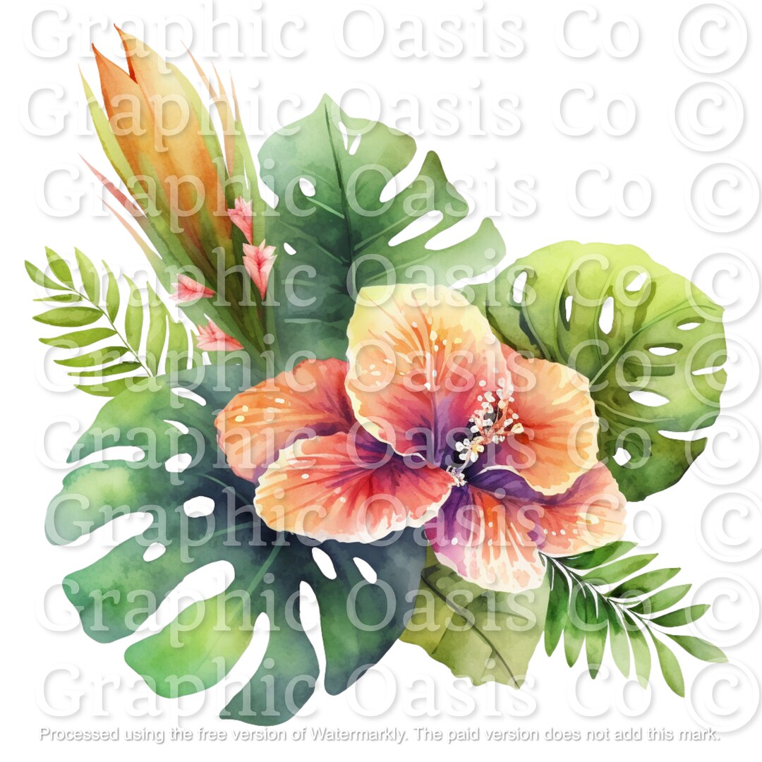 Tropical Flower Clipart - Etsy
