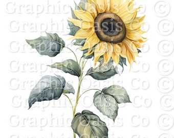 Sunflower Png Sunflower Watercolor Clipart Sunflower - Etsy