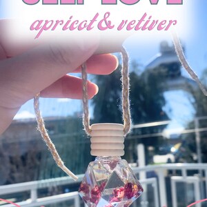 Car Freshie | Hanging Reed Diffuser| Car Refresher | Classroom | Bathroom Car Gift - Etsy