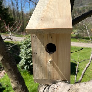 Handmade Slanted Bird House - Etsy