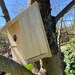 Handmade Slanted Bird House - Etsy