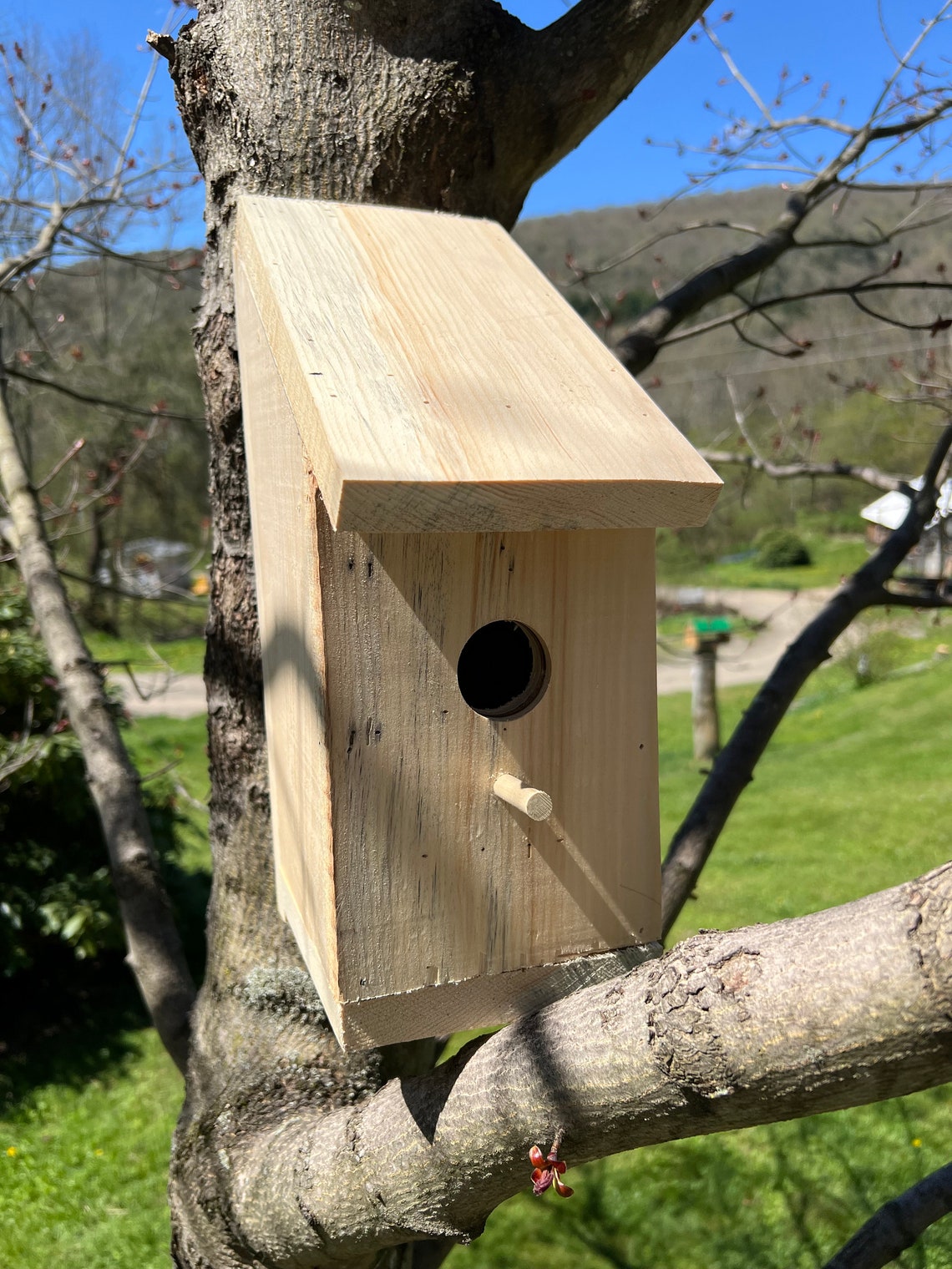 Handmade Slanted Bird House - Etsy