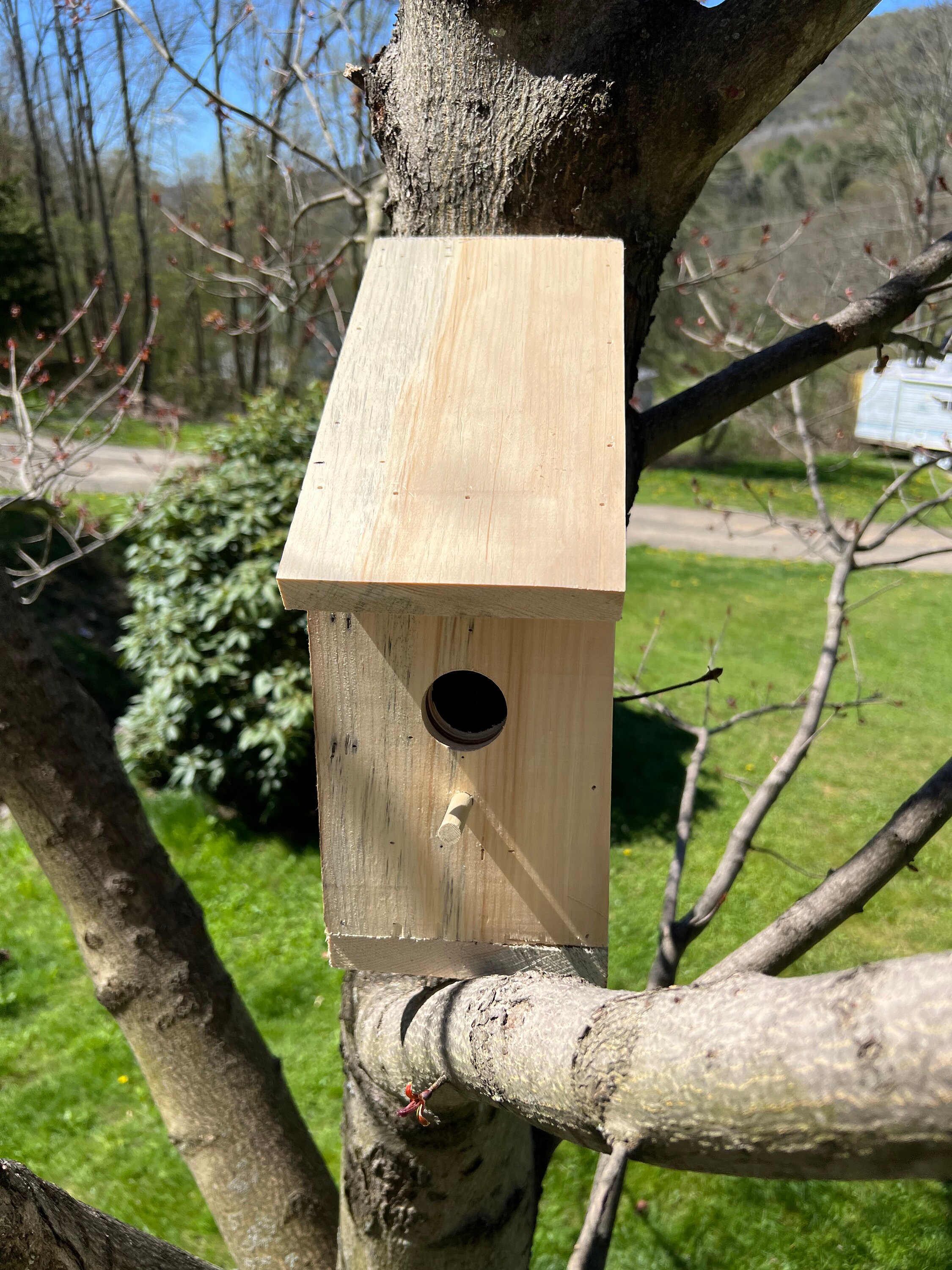 Handmade Slanted Bird House - Etsy
