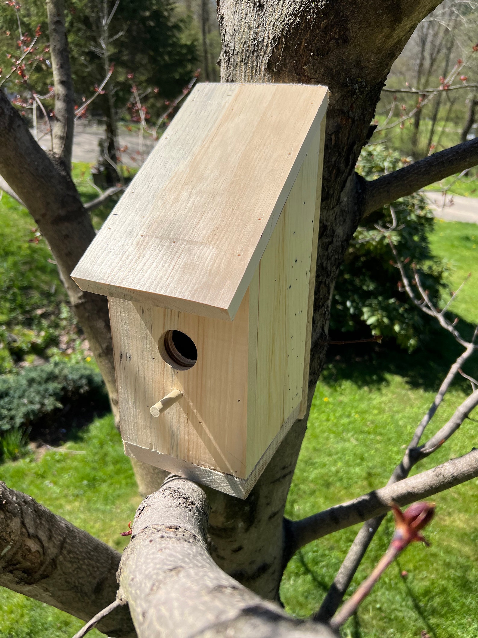 Handmade Slanted Bird House - Etsy