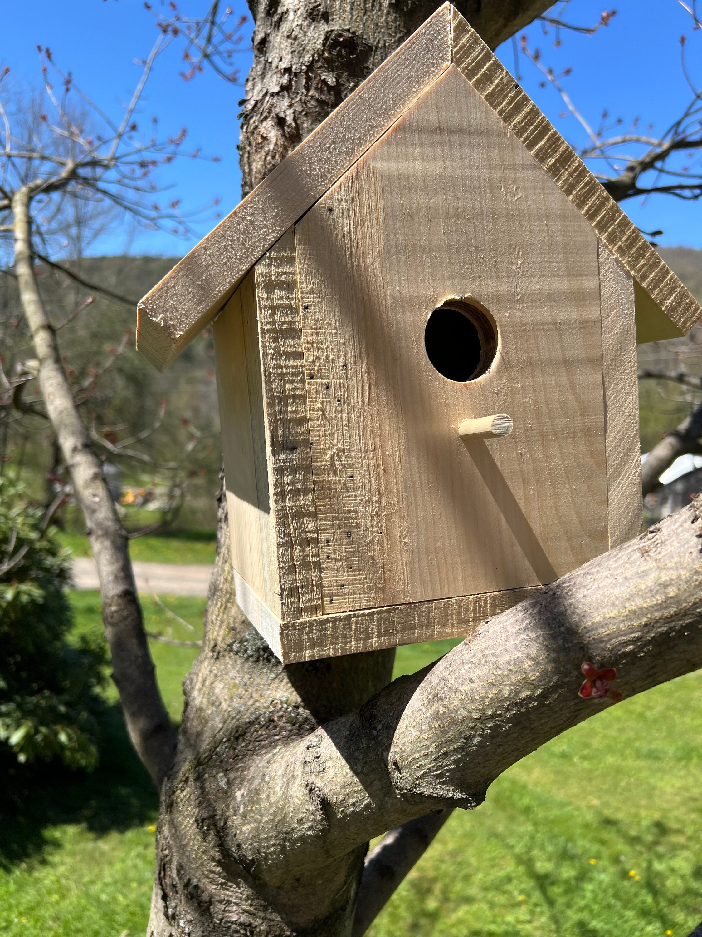 Handmade Simple Bird House - Etsy