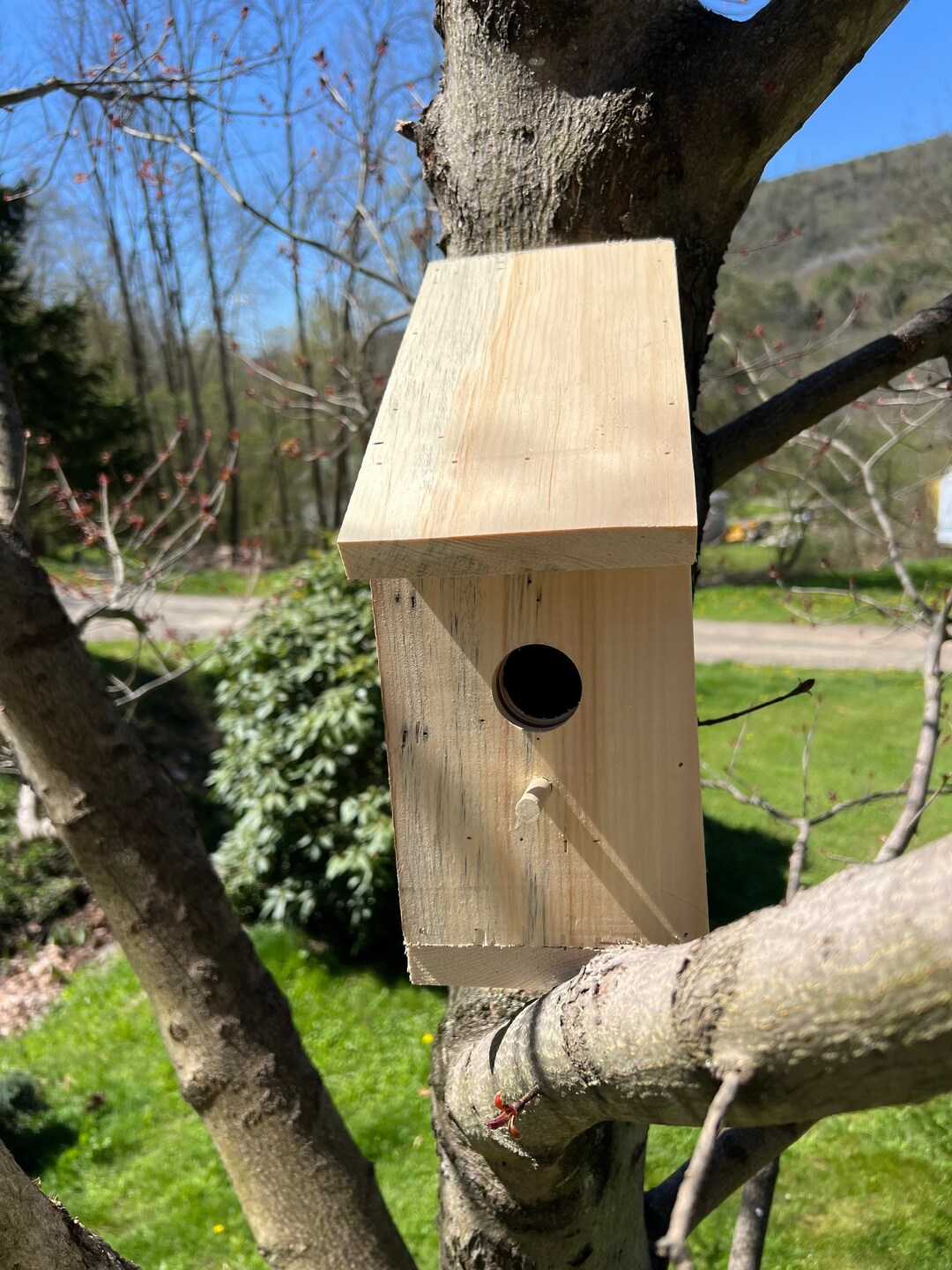 Handmade Slanted Bird House - Etsy