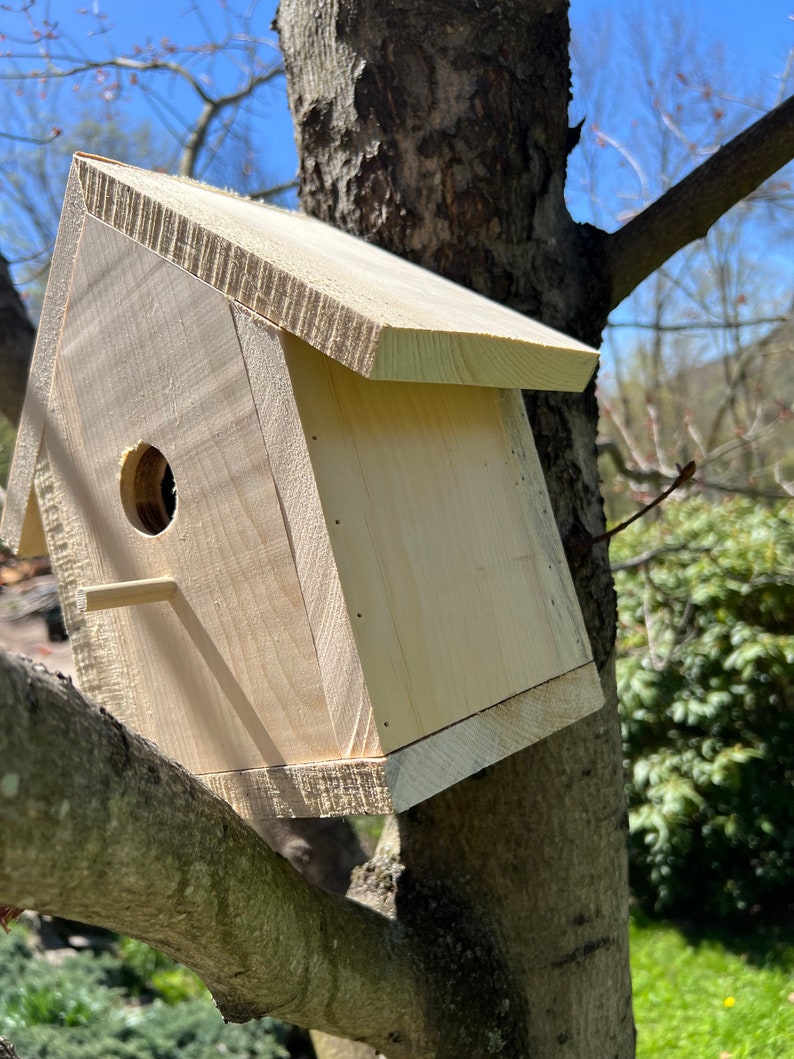 Handmade Simple Bird House - Etsy