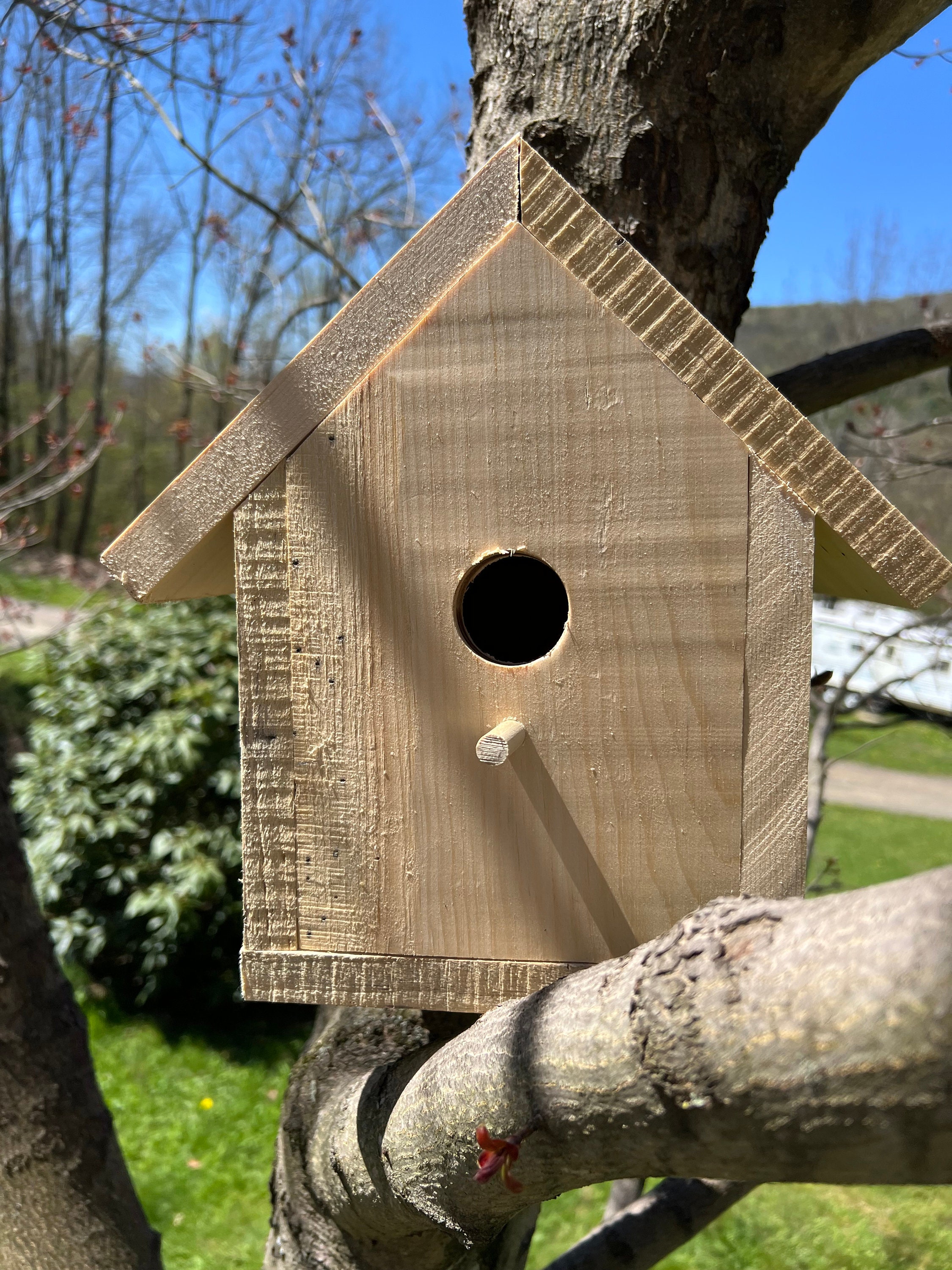 Handmade Simple Bird House - Etsy