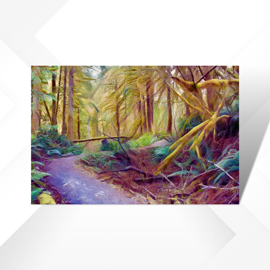 Oxbow Loop Trail Woods| PNW Hiking Path| Northwest Forest Views| North ...