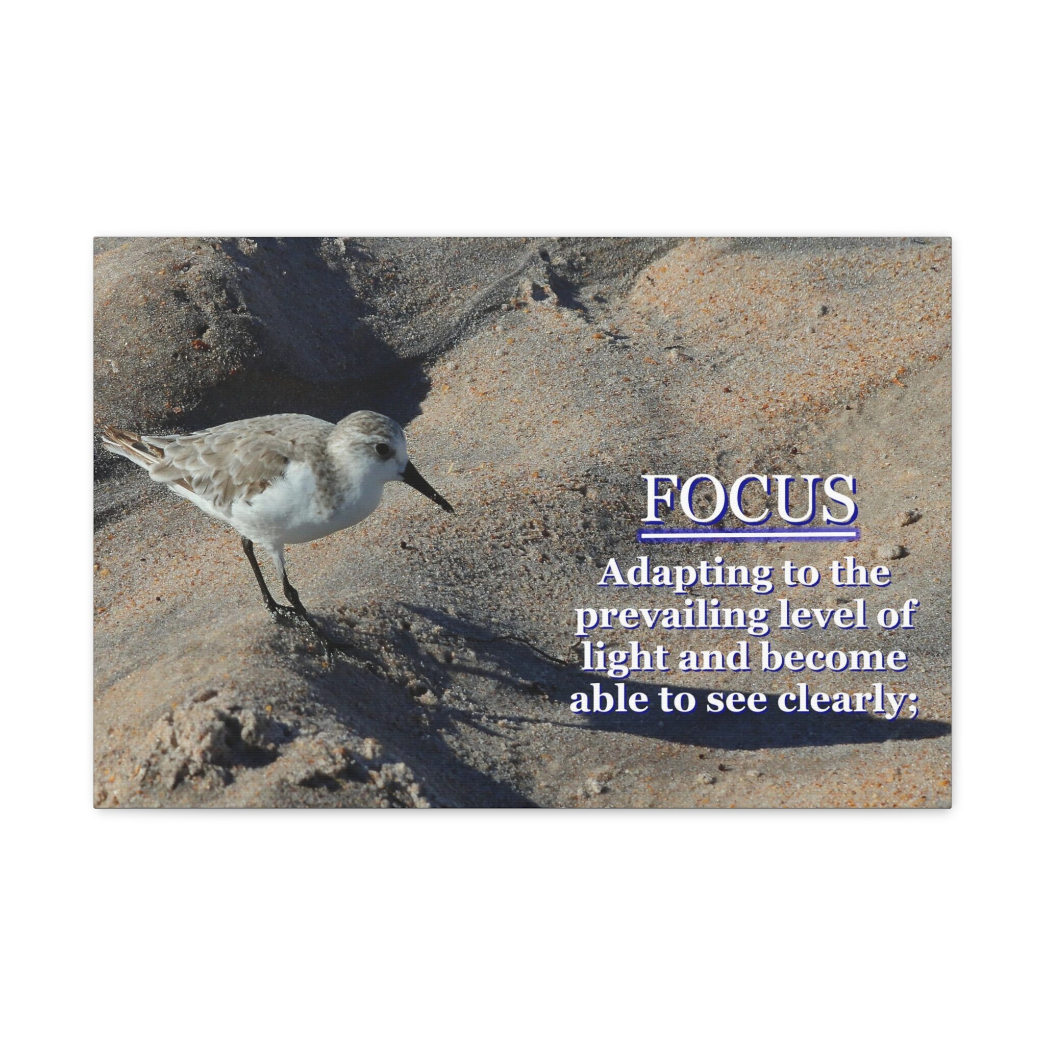 FOCUS, Motivational Wall Decor - Etsy