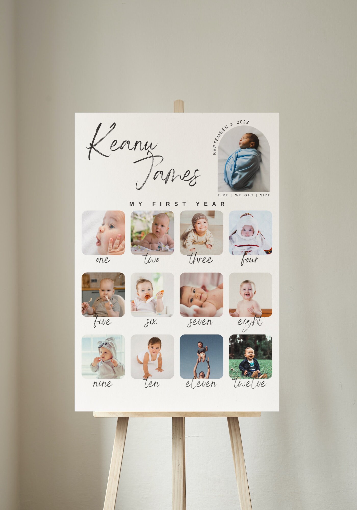 First Year Milestone Sign, First Birthday Facts Sign, Neutral Sign ...