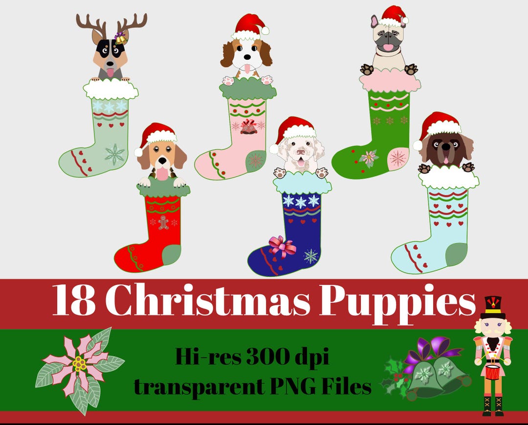 18 Christmas Puppy Clipart, Cute Puppies in Stockings Clipart PNG ...