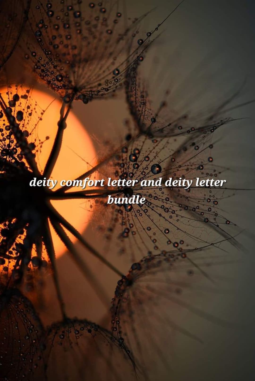 Deity Comfort Letter and Deity Letter Bundle - Etsy