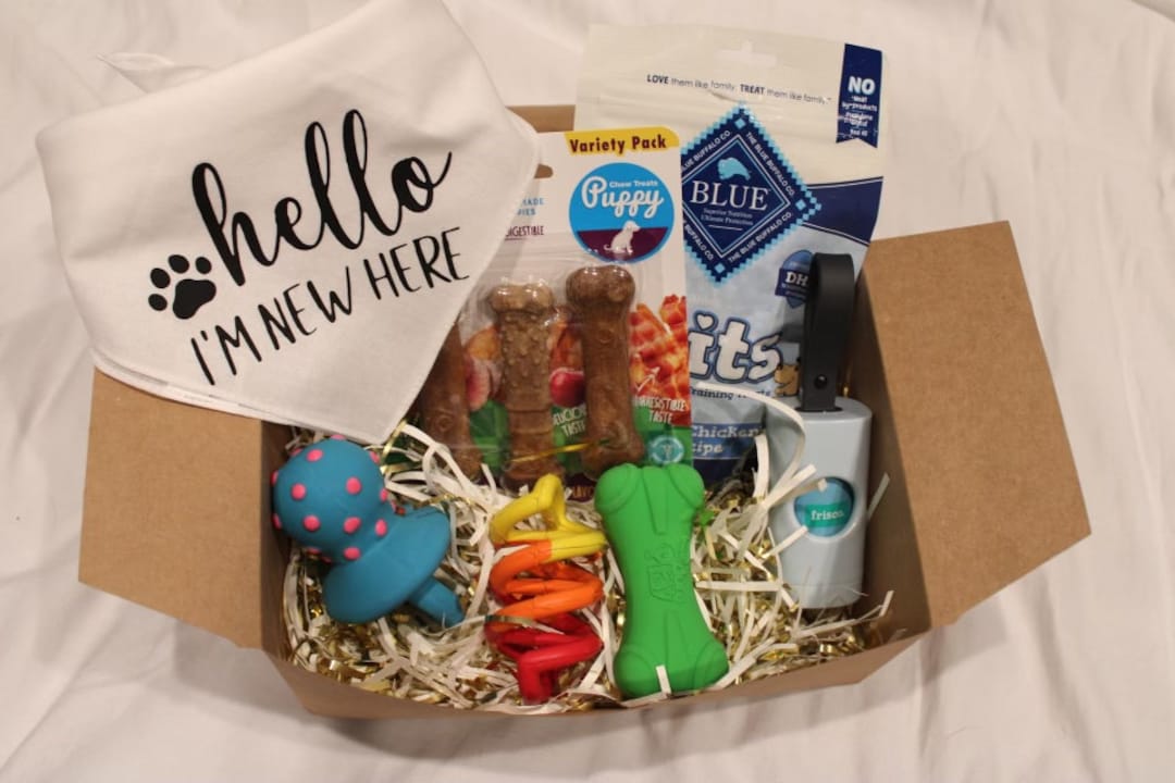 New Puppy Box - Etsy