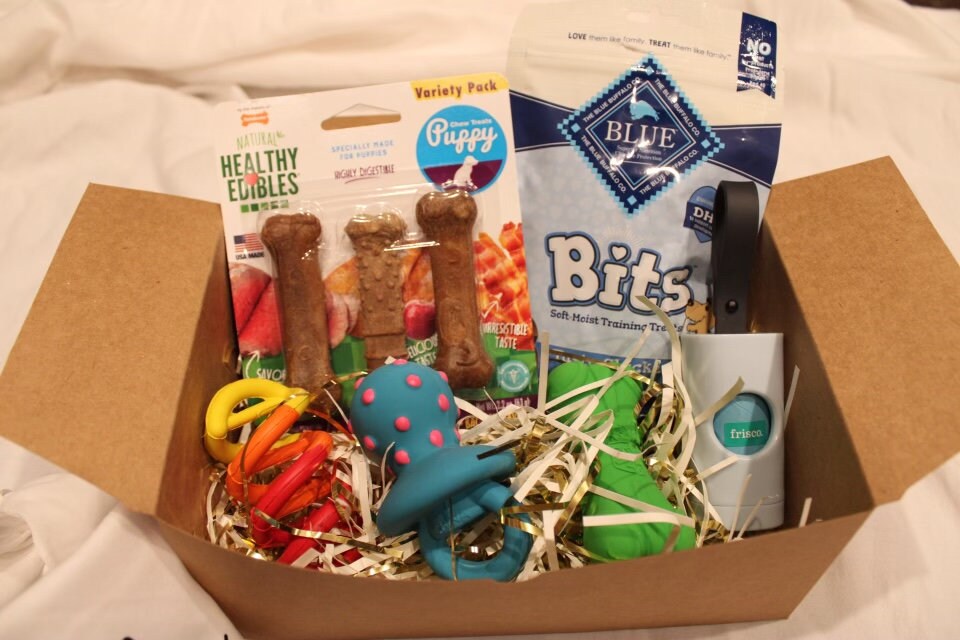 New Puppy Box - Etsy