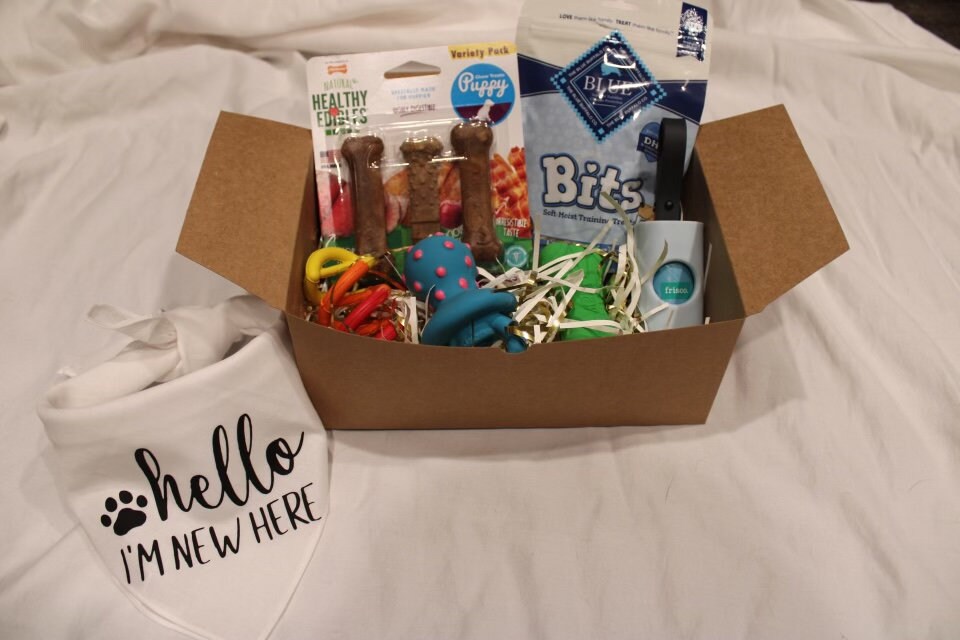 New Puppy Box - Etsy