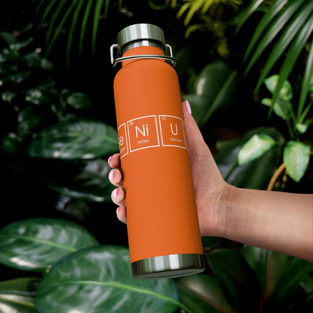 Chemistry Genius Insulated Water Bottle: Science Art Mug - Etsy