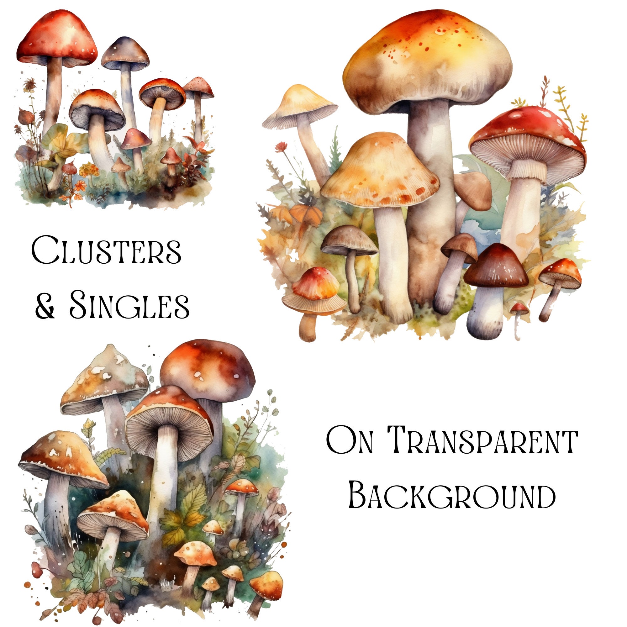 Watercolor Mushroom Clipart | Digital Artwork | Instant Download Bundle ...