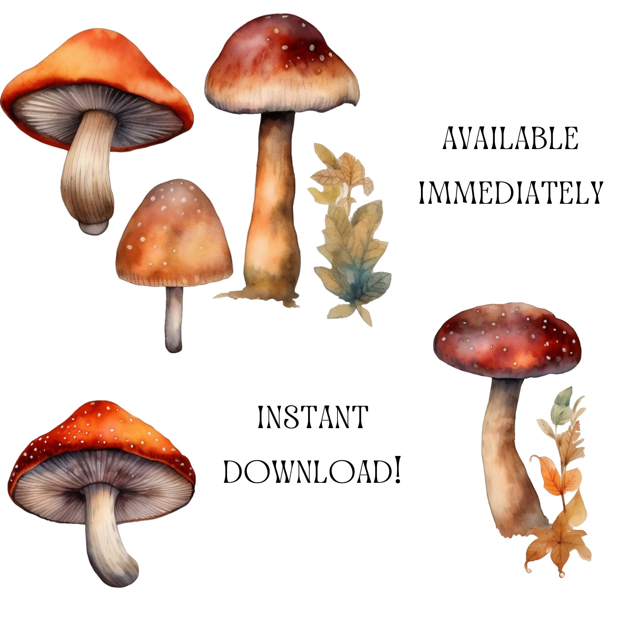 Watercolor Mushroom Clipart | Digital Artwork | Instant Download Bundle ...